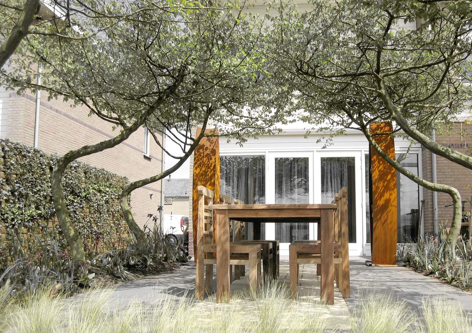 Carpinus betulus TREEVOLUTION ® THE SWING ® - Van den Berk Pépinières